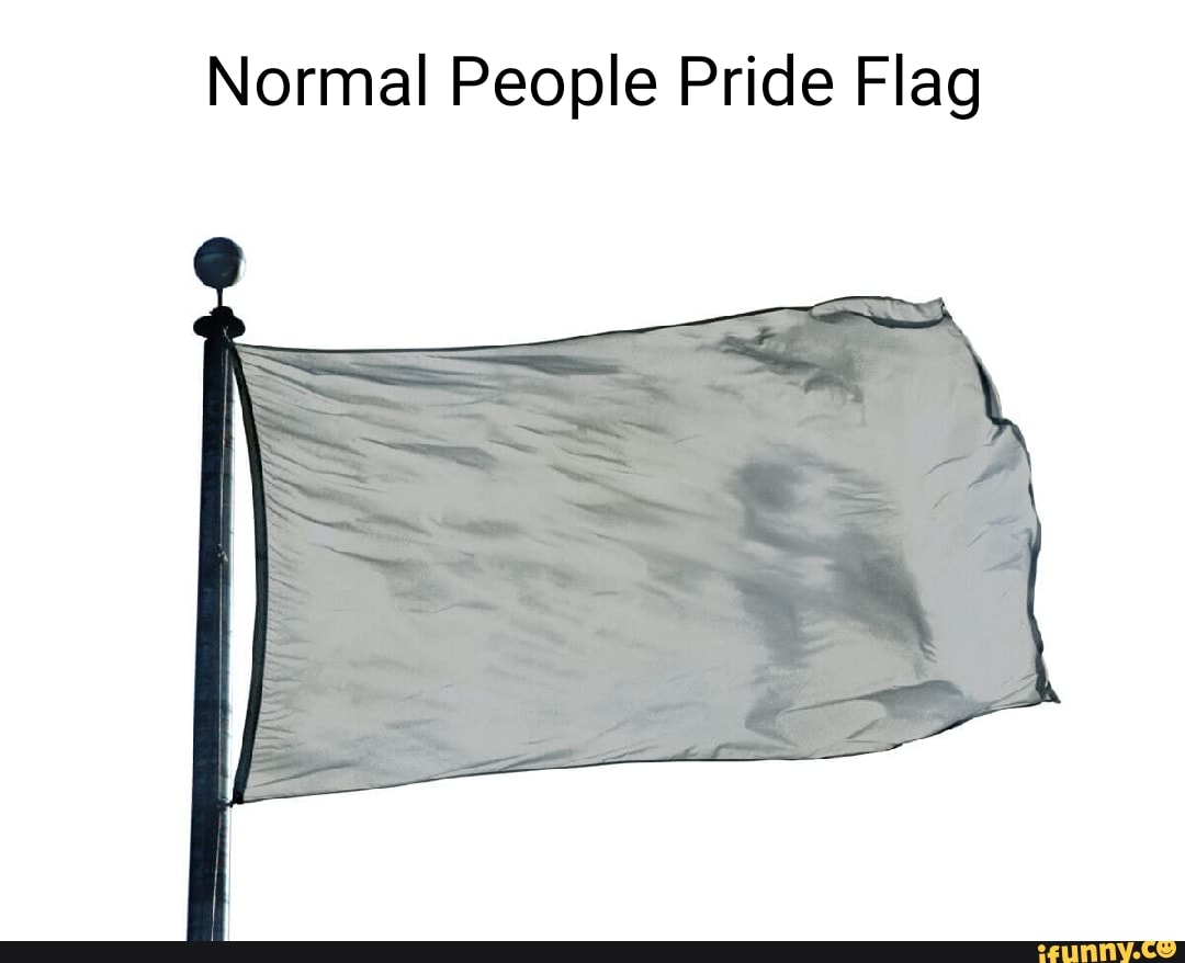 Normal People Pride Flag - iFunny