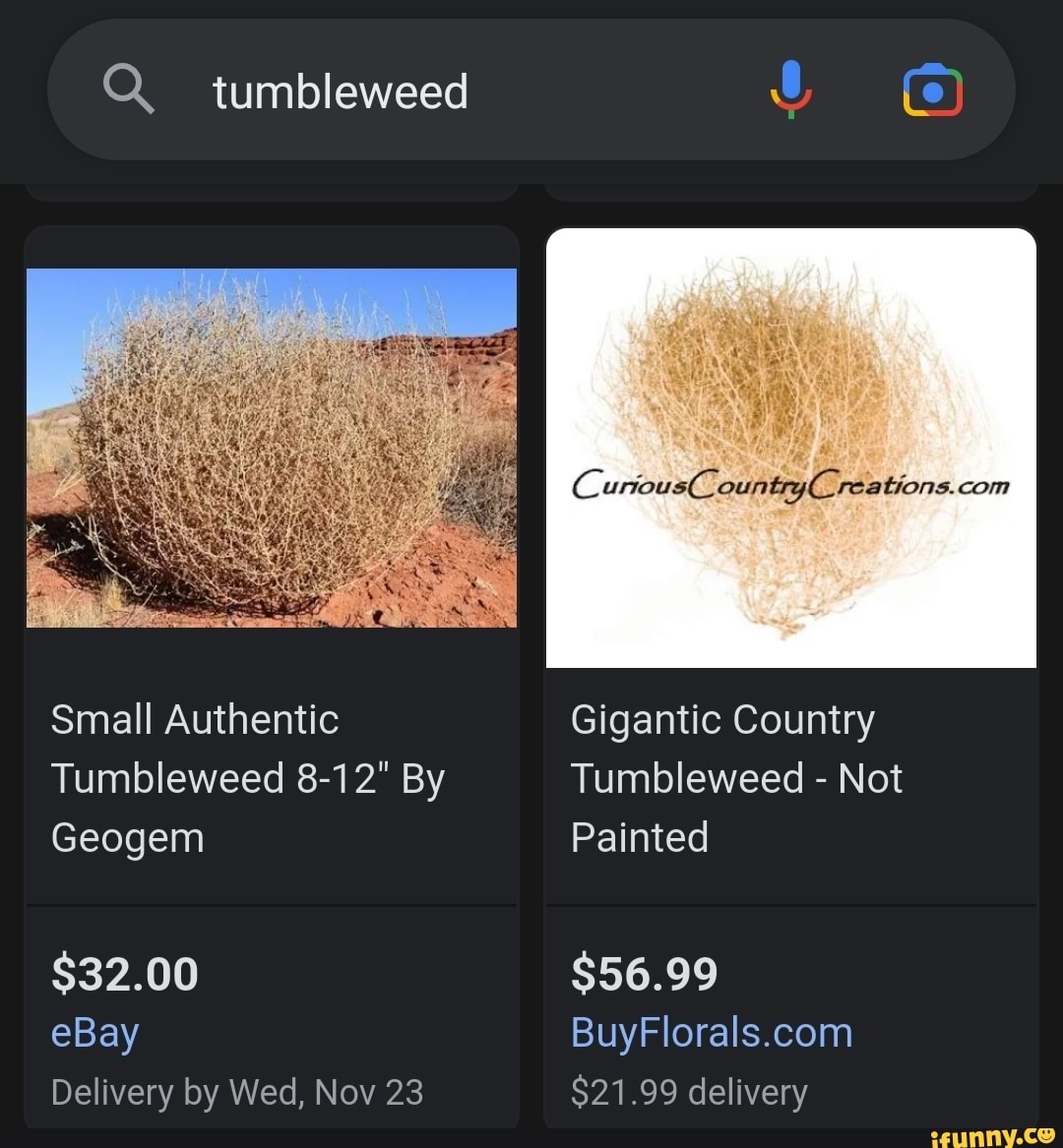 Tumbleweed memes. Best Collection of funny Tumbleweed pictures on iFunny