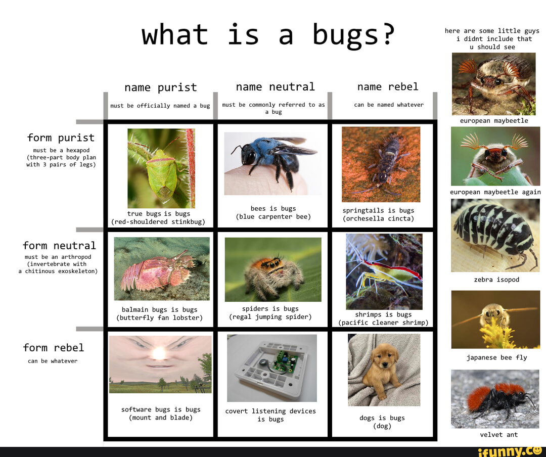 What is a bugs alignment chart - what is a bugs alignment chart what is a bugs? name purist must ...