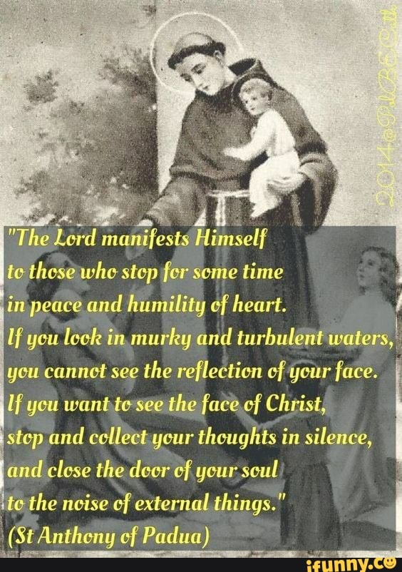 Murky memes. Best Collection of funny Murky pictures on iFunny