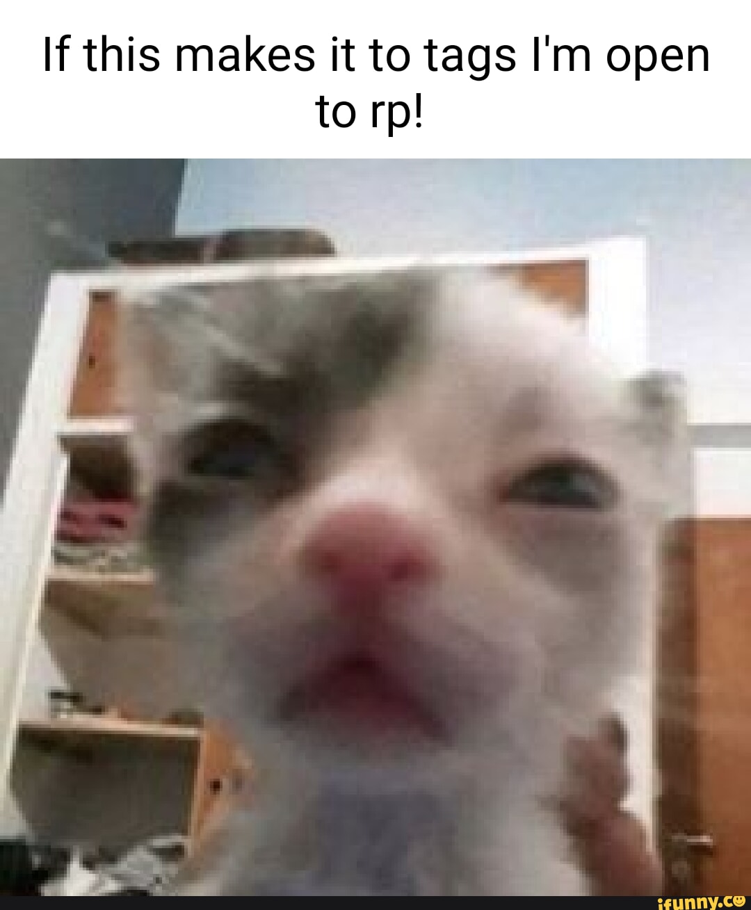 If this makes it to tags I'm open to rp! I - iFunny