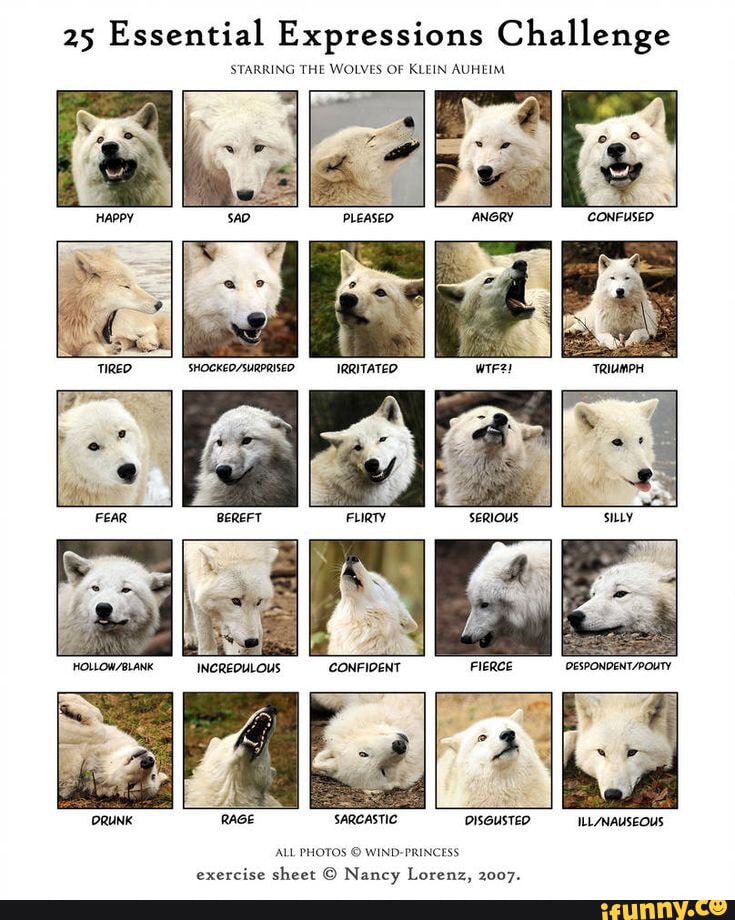 Bereft memes. Best Collection of funny Bereft pictures on iFunny