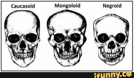Caucasoid Mongoloid - iFunny