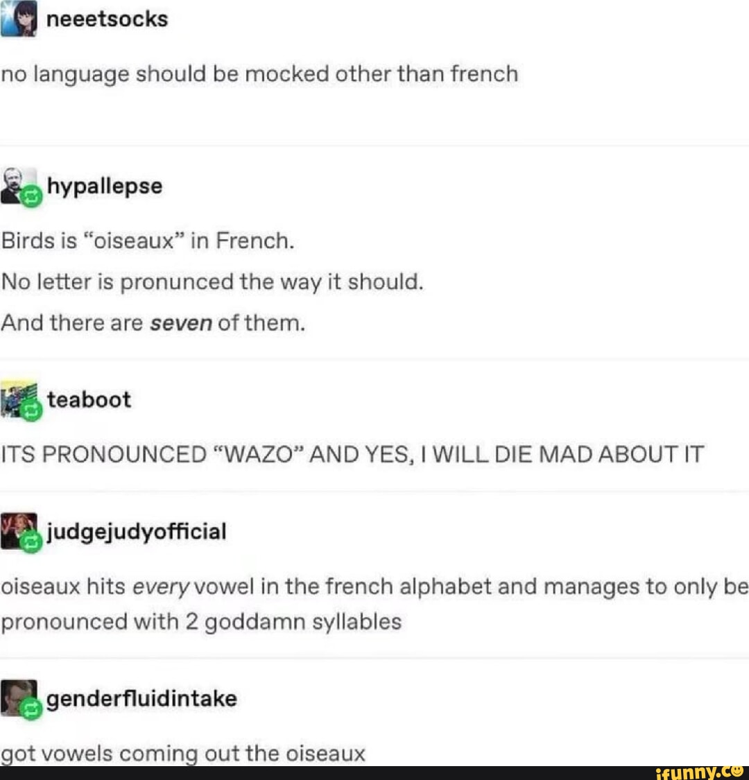 French memes. Best Collection of funny French pictures on iFunny