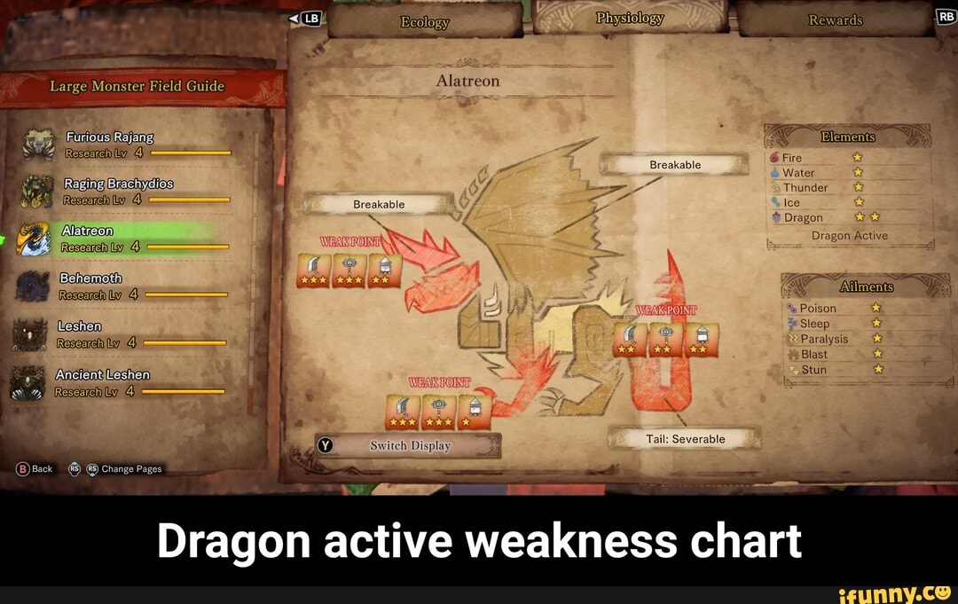 Dragon active weakness chart - Dragon active weakness chart - iFunny