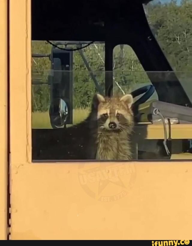 Ctc memes. Best Collection of funny Ctc pictures on iFunny