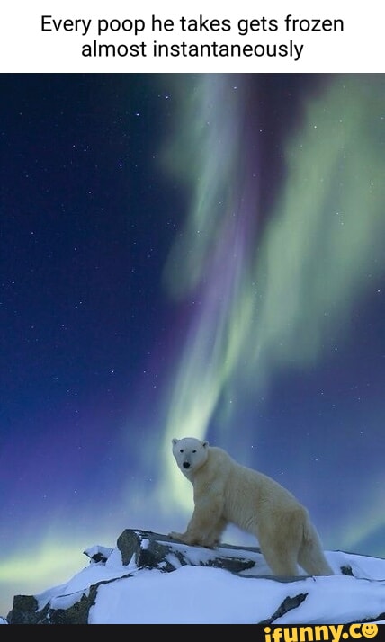 Every poop he takes gets frozen almost instantaneously - iFunny