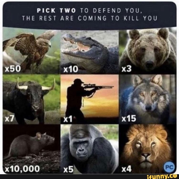 PICK TWO TO DEFEND YOU, THE REST ARE COMING TO KILL YOU - iFunny