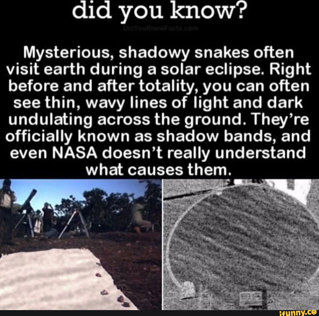 Totality memes. Best Collection of funny Totality pictures on iFunny