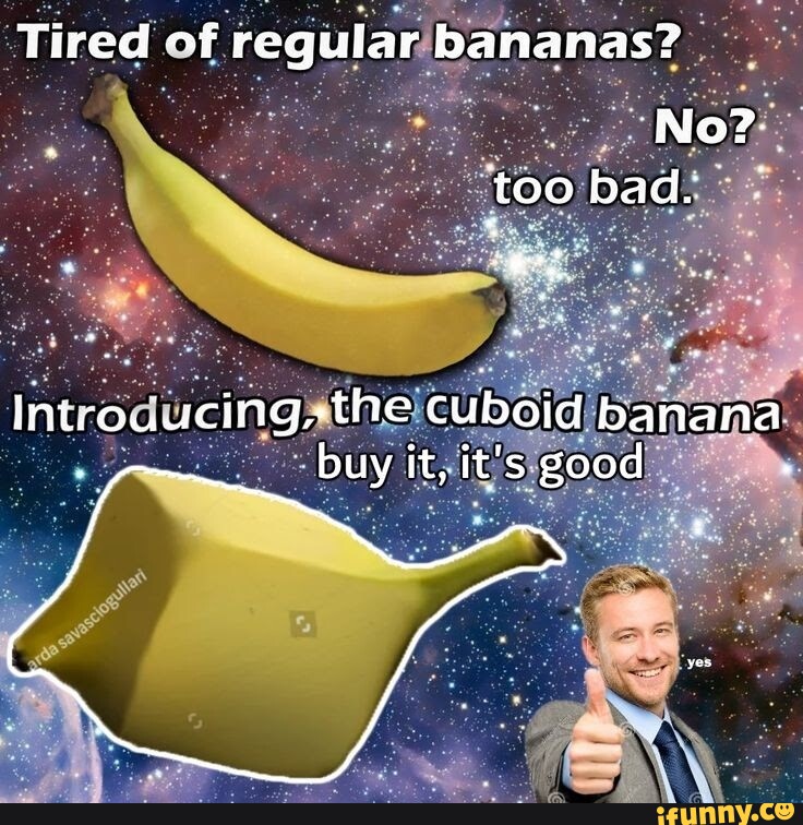 Introuucing memes. Best Collection of funny Introuucing pictures on iFunny