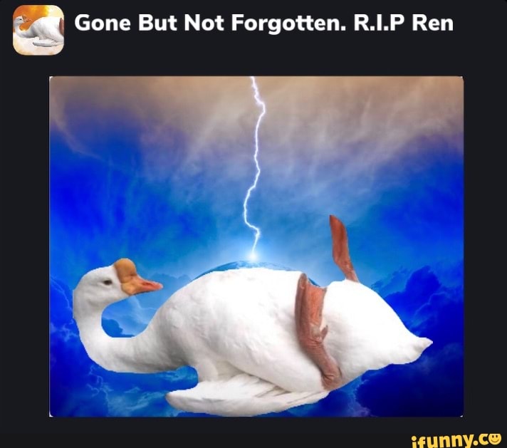 Fat Gone But Not Forgotten. R.I.P Ren - iFunny
