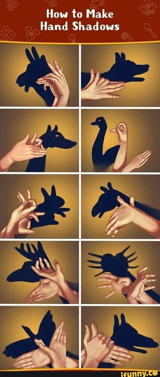 How to Make Hand Shadows - iFunny