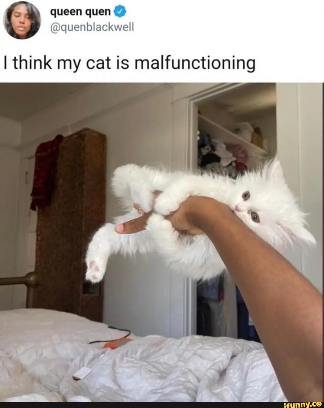 Quen memes. Best Collection of funny Quen pictures on iFunny