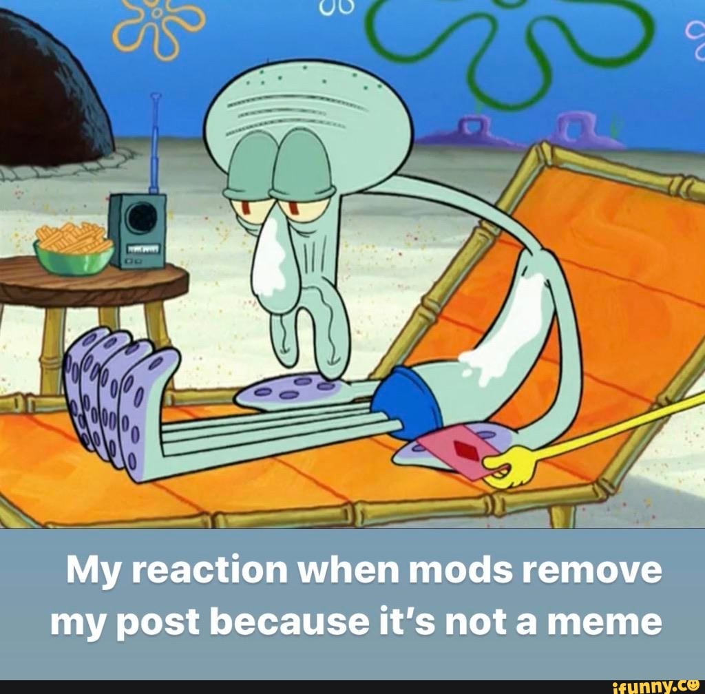 SS am} My reaction when mods remove my post because it's not a meme ...