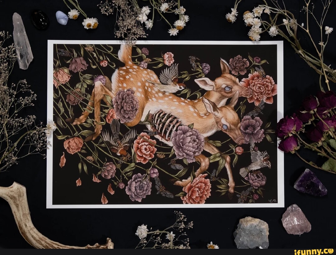 Jackrabbit memes. Best Collection of funny Jackrabbit pictures on iFunny