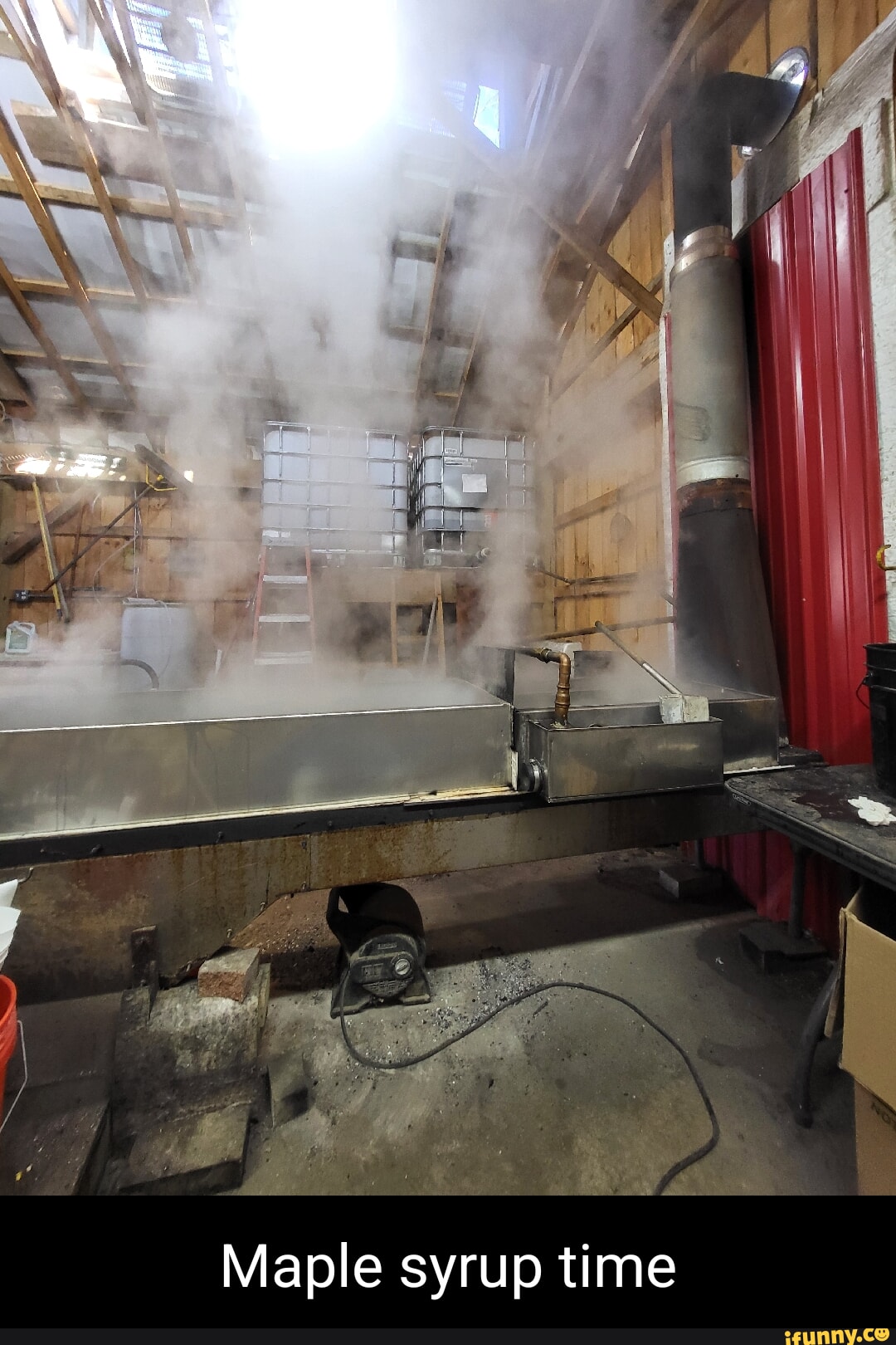 Maple syrup time - iFunny