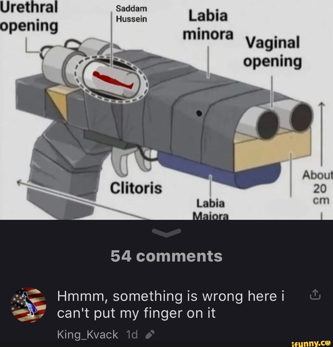 Urethral memes. Best Collection of funny Urethral pictures on iFunny