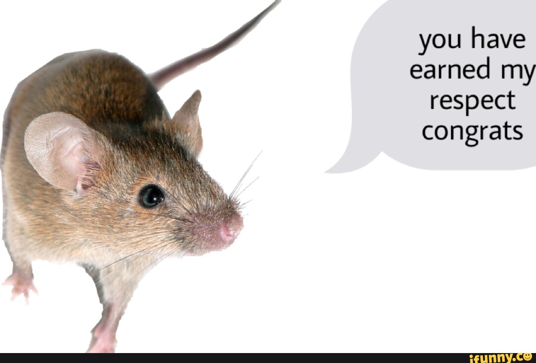 You have earned my respect congrats - iFunny