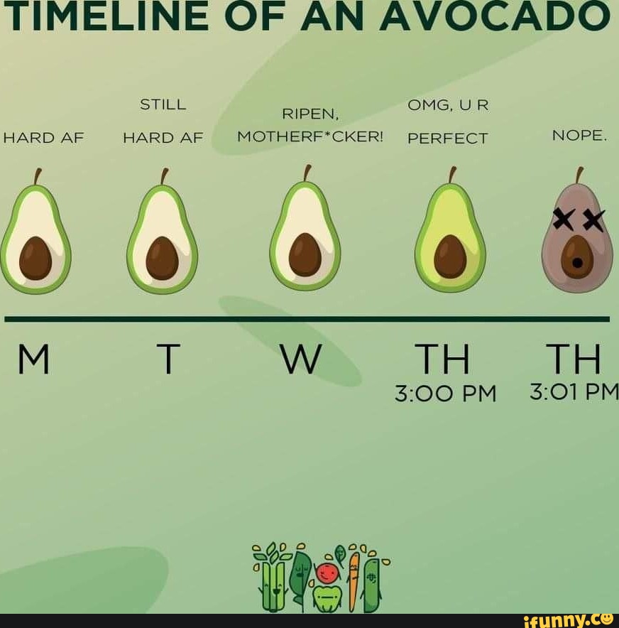 TIMELINE OF AN AVOCADO STILL RIPEN, OMG, UR HARD AF HARD AF MOTHERF ...