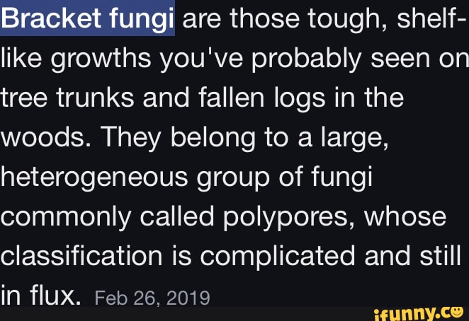 Fungi memes. Best Collection of funny Fungi pictures on iFunny