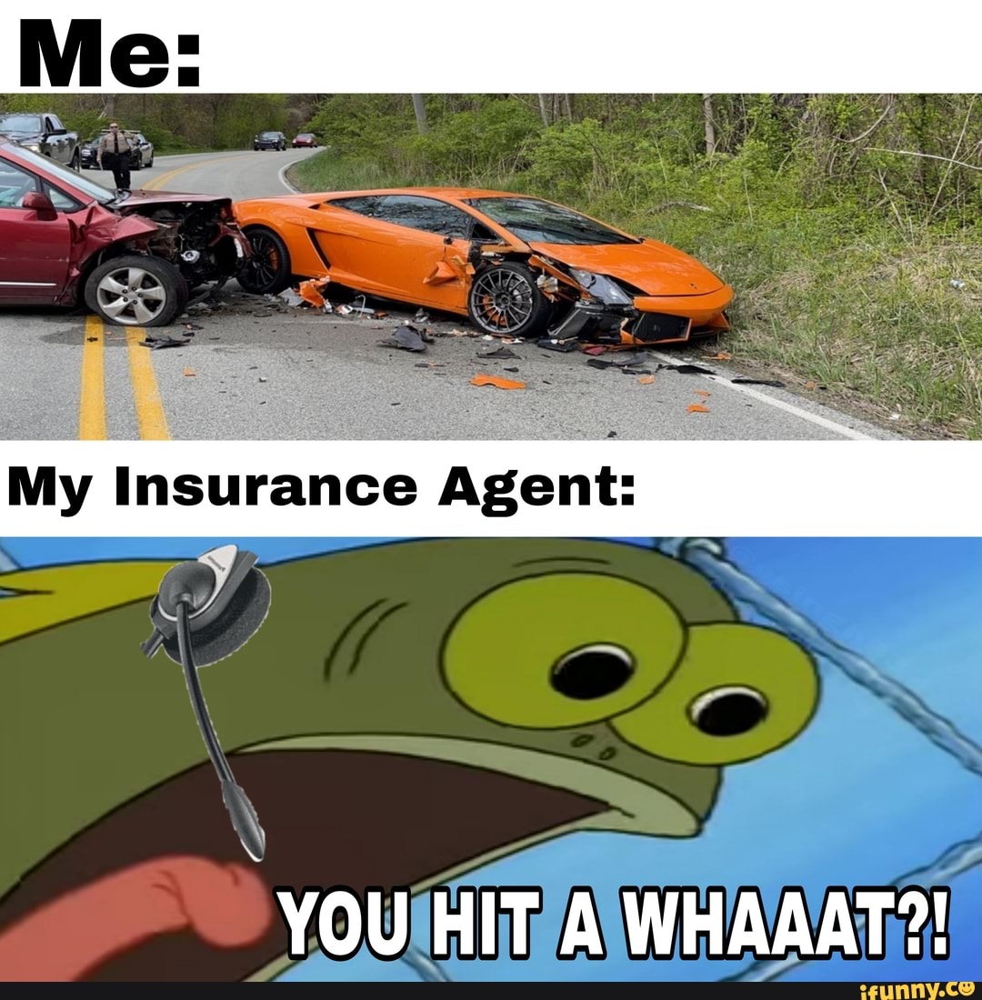 My Insurance Agent YOU HIT WHAAAT?! - iFunny