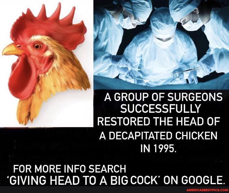 A GROUP OF SURGEONS SUCCESSFULLY RESTORED THE HEAD OF A DECAPITATED ...