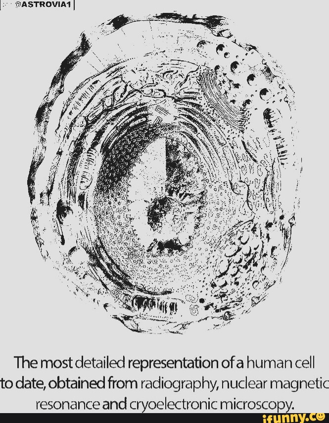Microscopy memes. Best Collection of funny Microscopy pictures on iFunny