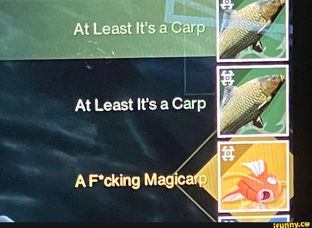 Memes de vídeo hJ6hFOtL7 por Eduisbot: 91 comentários - iFunny