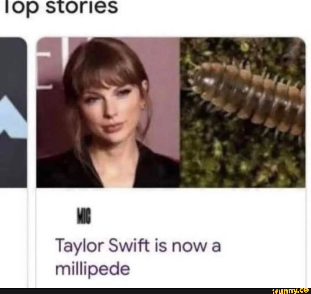 Millipede memes. Best Collection of funny Millipede pictures on iFunny