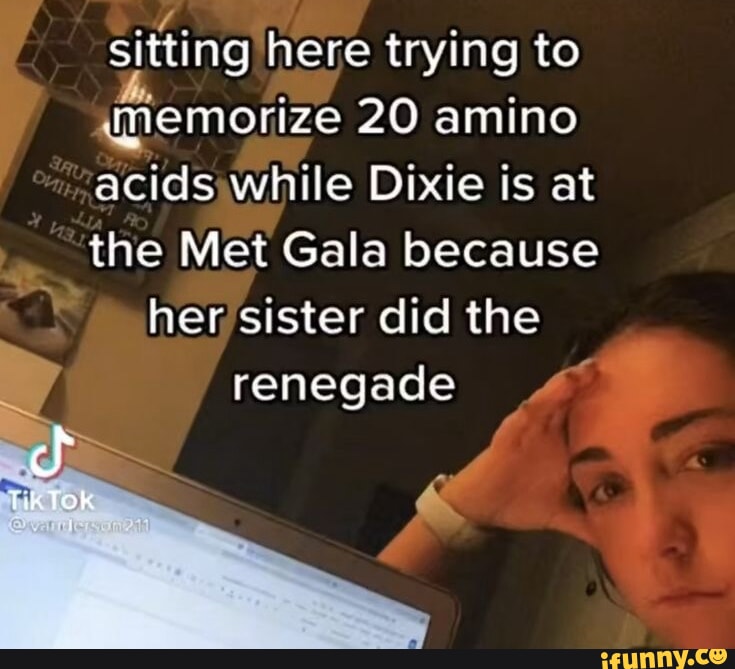 Sitting here trying to memorize 20 amino acids while Dixie is at the ...