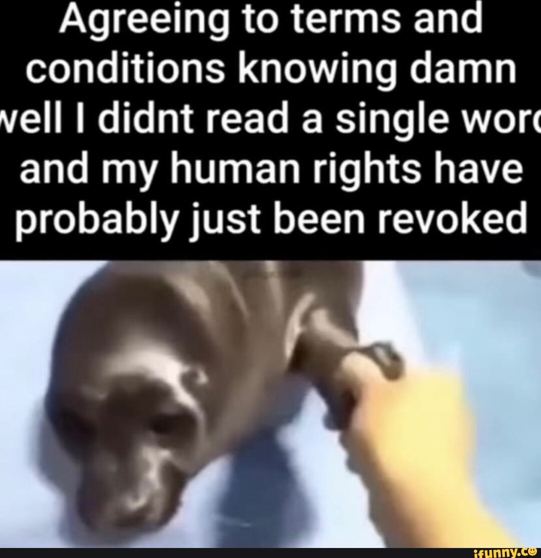 Revoked memes. Best Collection of funny Revoked pictures on iFunny