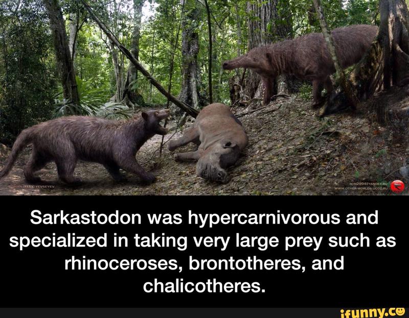 Sarkastodon memes. Best Collection of funny Sarkastodon pictures on iFunny