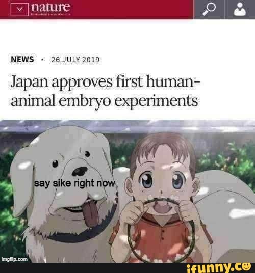 Japan approves ﬁrst human- animal embryo experiments - iFunny