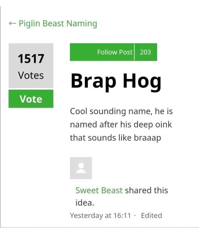 Brap hog nooo