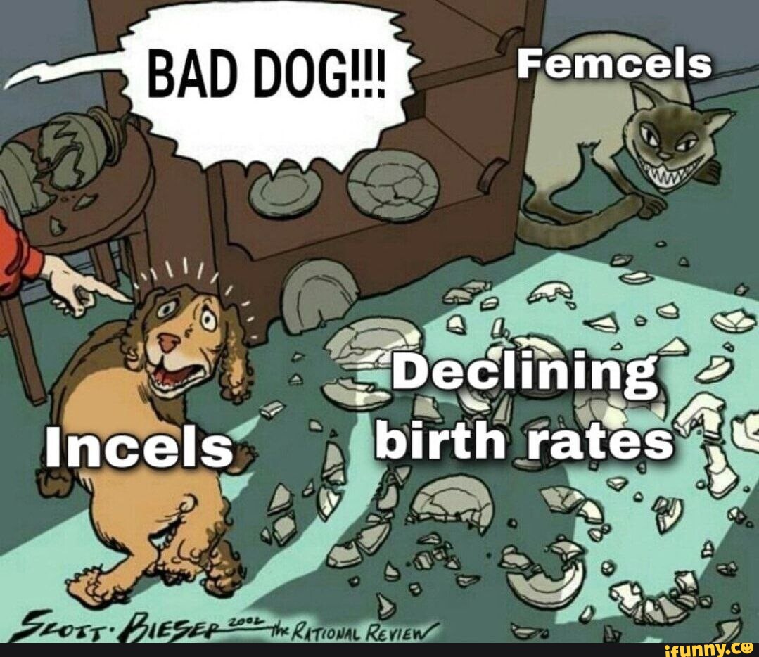 Co "Declining" A Incels 'birth rates - iFunny