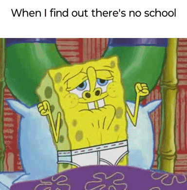 School memes. Best Collection of funny School pictures on iFunny