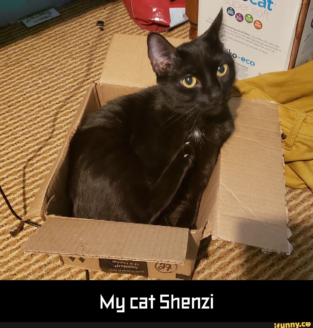 Shenzi memes. Best Collection of funny Shenzi pictures on iFunny
