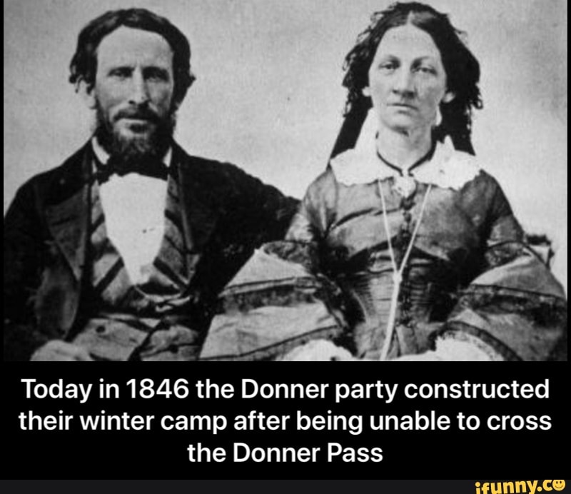 Donnerparty memes. Best Collection of funny Donnerparty pictures on iFunny
