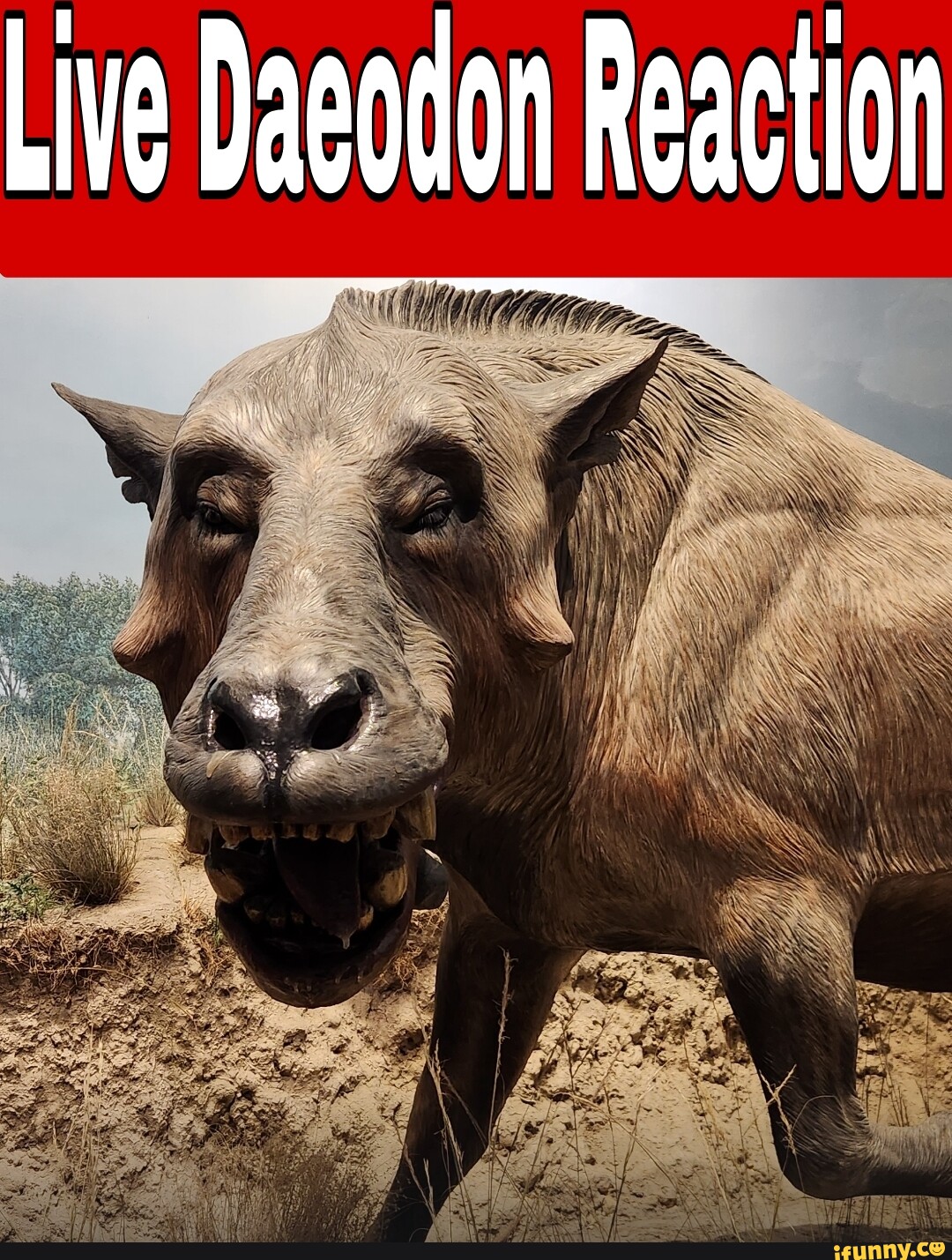 Daeodon memes. Best Collection of funny Daeodon pictures on iFunny