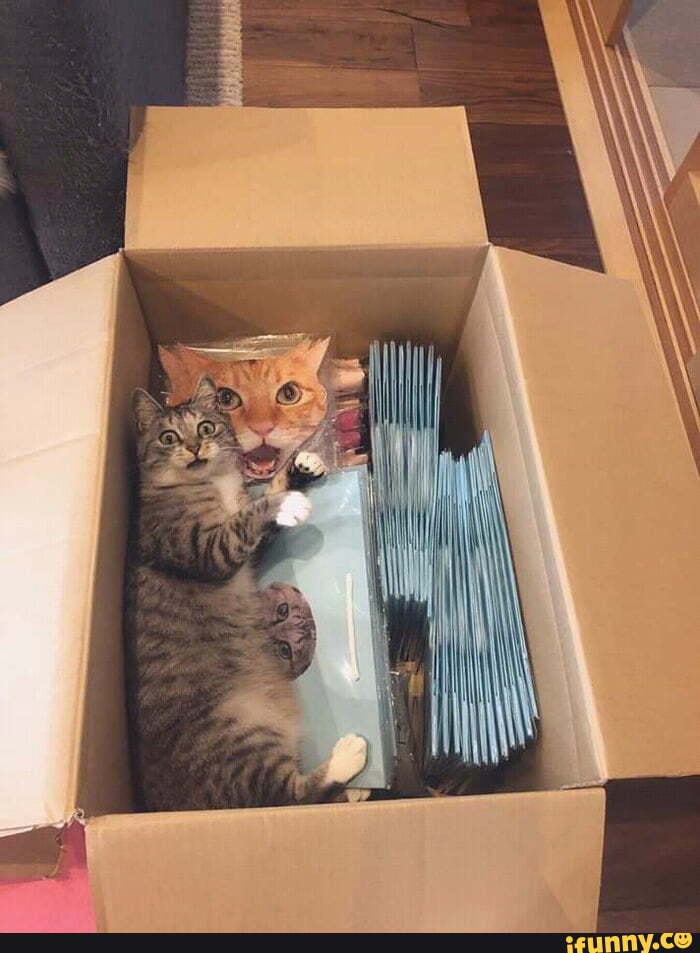 Buka memes. Best Collection of funny Buka pictures on iFunny