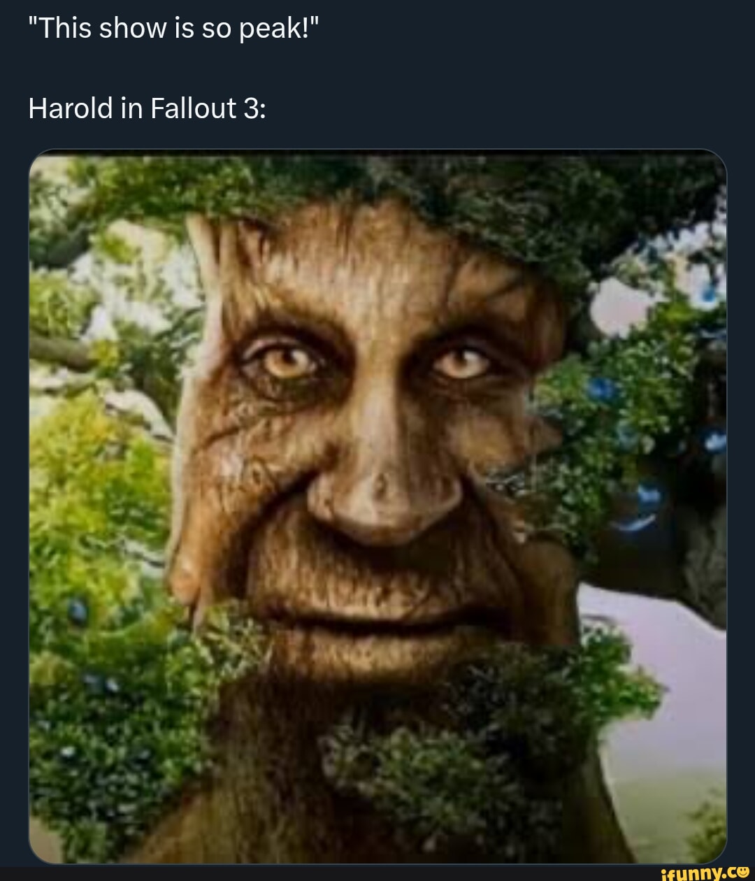"This show is so peak!" Harold in Fallout 3: - iFunny