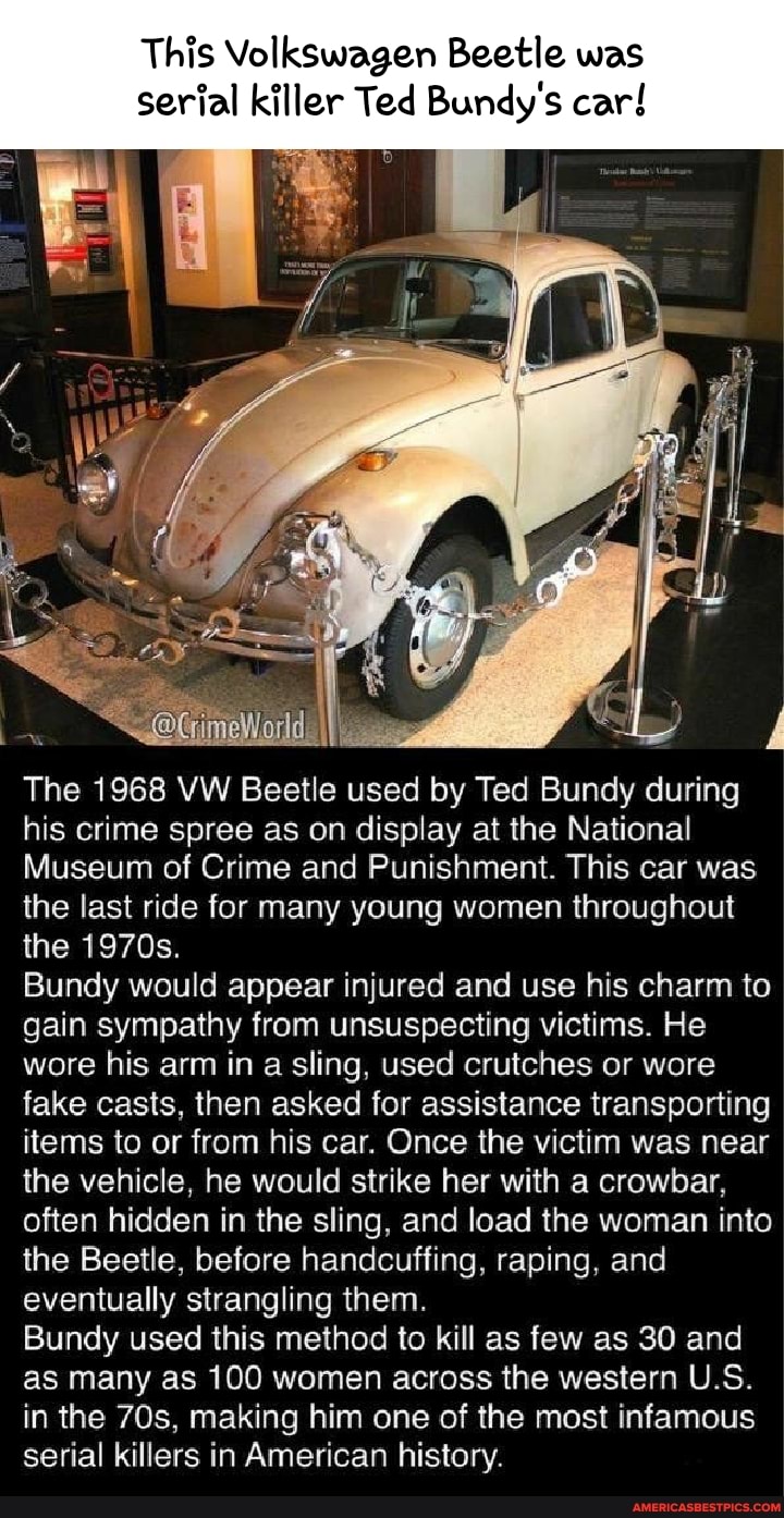 This Volkswagen Beetle was serial killer Ted Bundy's car! The 1968 VW ...