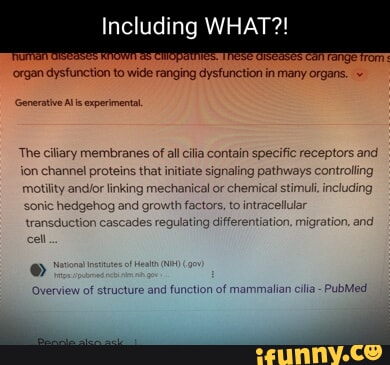 Receptors memes. Best Collection of funny Receptors pictures on iFunny