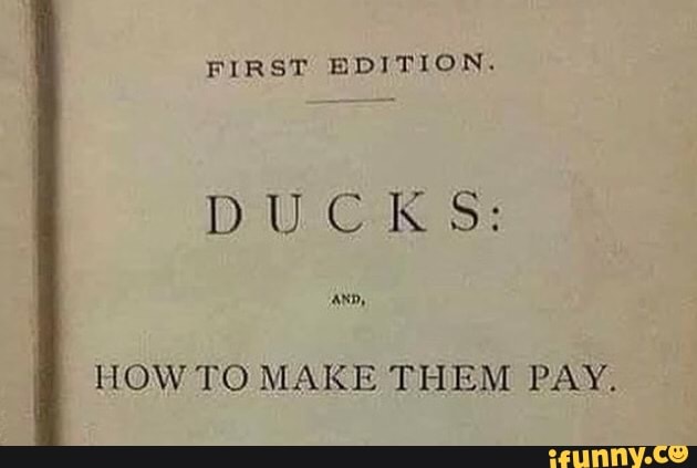 FIRST EDXTION. DUCKS: HOW TO MAKE THEM PAY. - iFunny