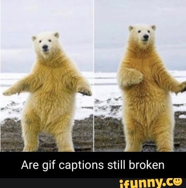 Are gif captions still broken - iFunny
