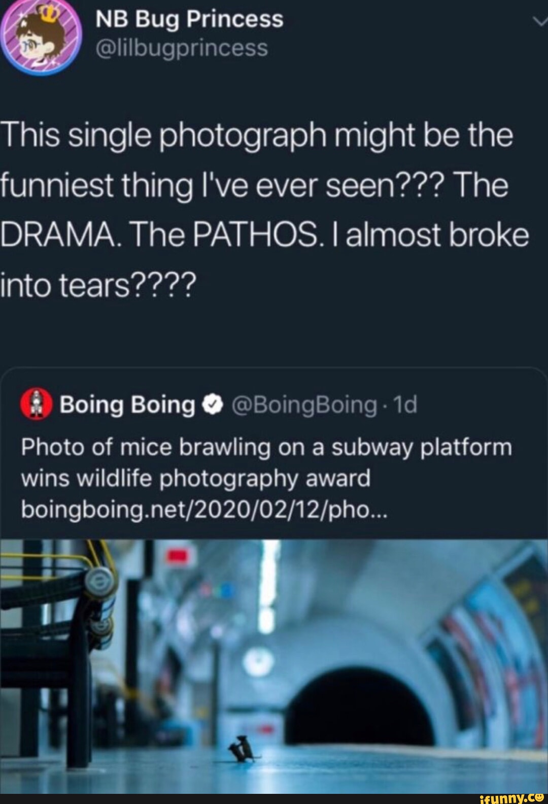 Pathos memes. Best Collection of funny Pathos pictures on iFunny