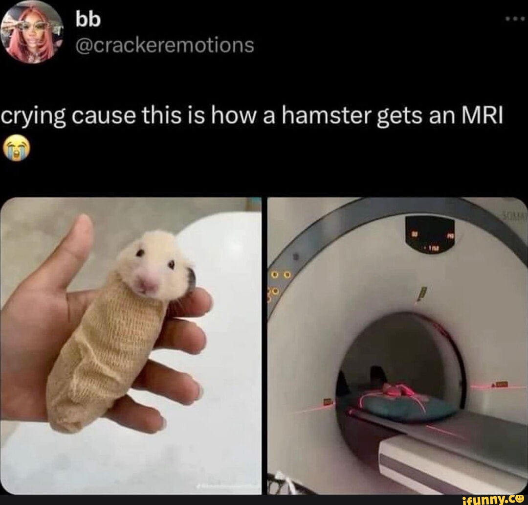 " bb @crackeremotions crying cause this is how a hamster gets an MRI ...