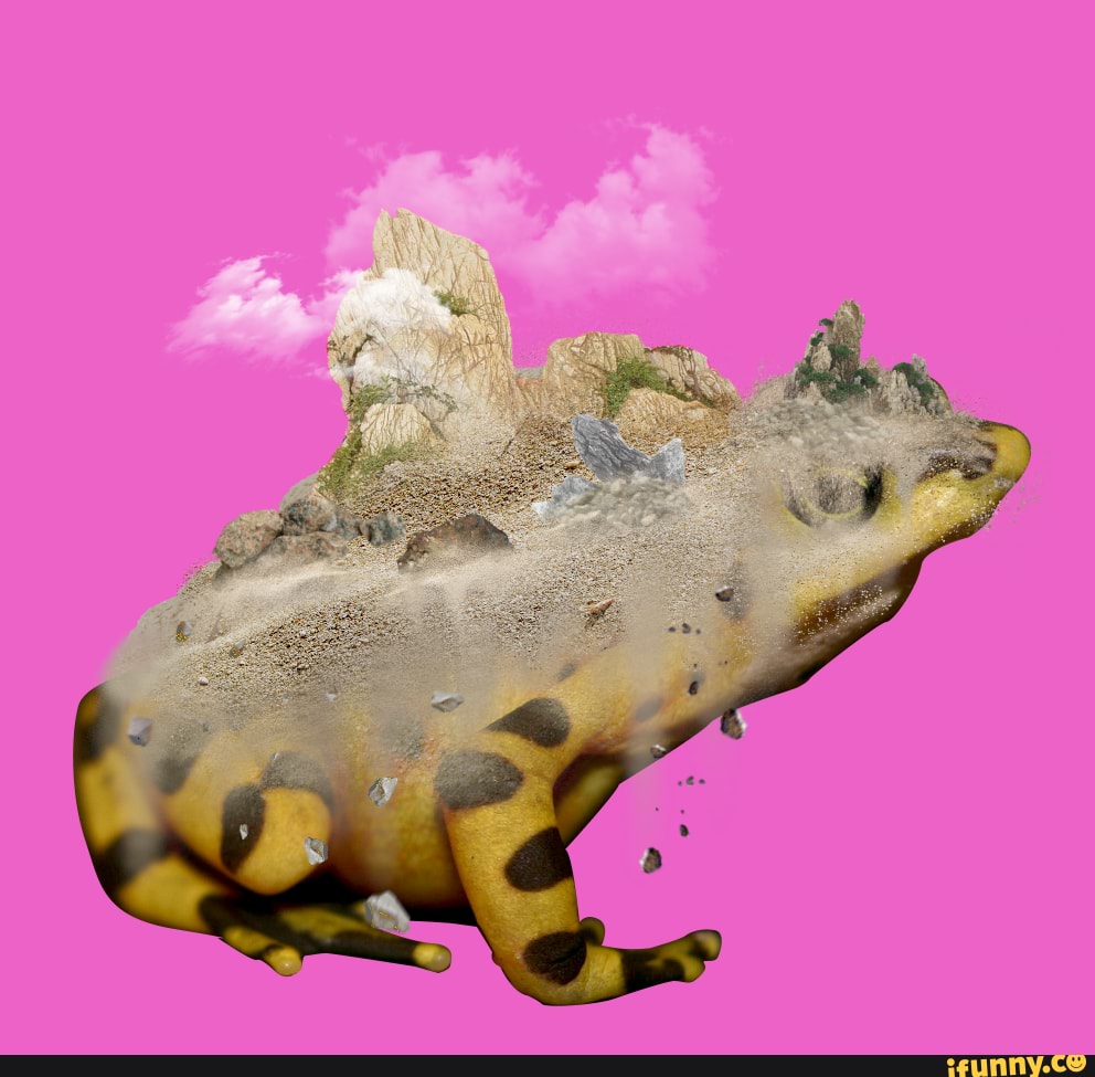 Giant Earth Elemental Frog - iFunny