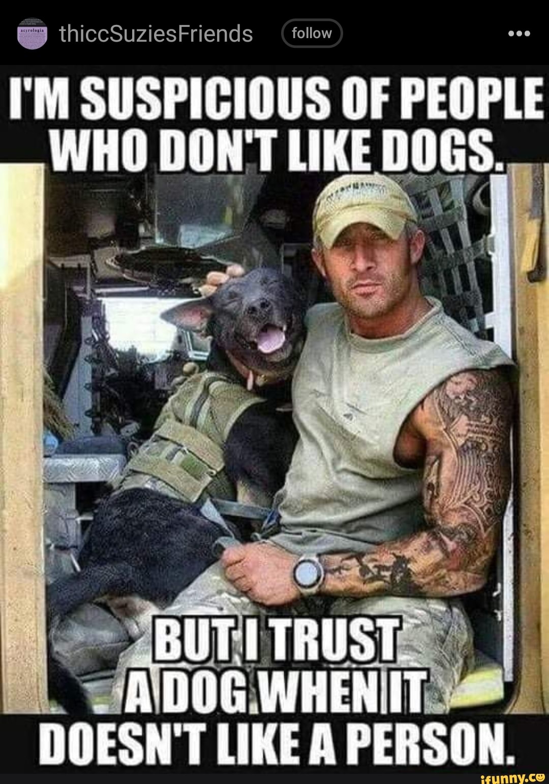 ThiccSuziesFriends (follow I'M SUSPICIOUS OF PEOPLE WHO DON'T LIKE DOGS. BUTITRUST DOESN'T LIKE ...