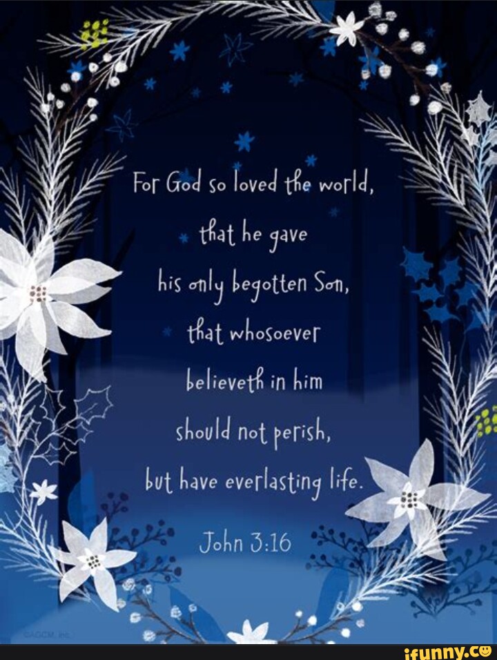 For God so loved the world, that he gave his only begotten Son, that ...